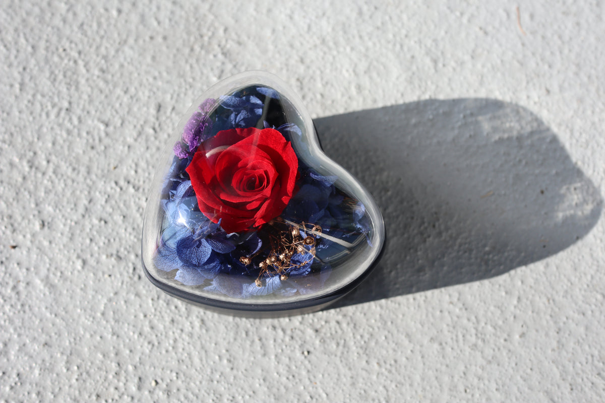 Eternal Preserved Rose Flower Ring Box – LOVERDAYS